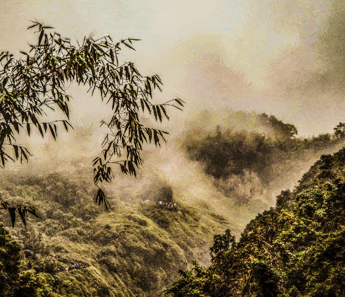 Guizhou Bamboo Valley - Oberg PhotoGraphics